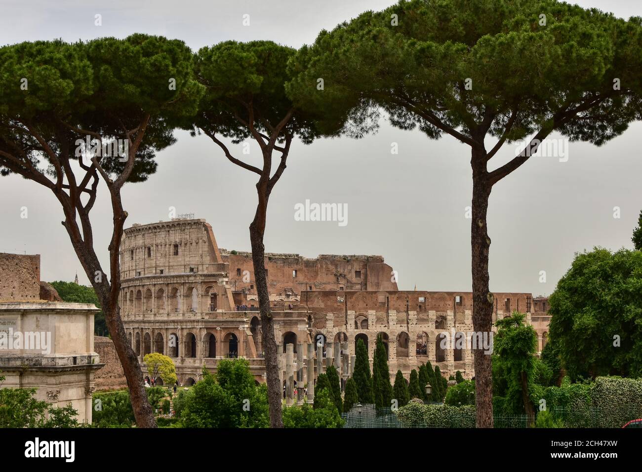 Colosseum in Rome, Italy, is the largest ancient amphitheatre ever ...