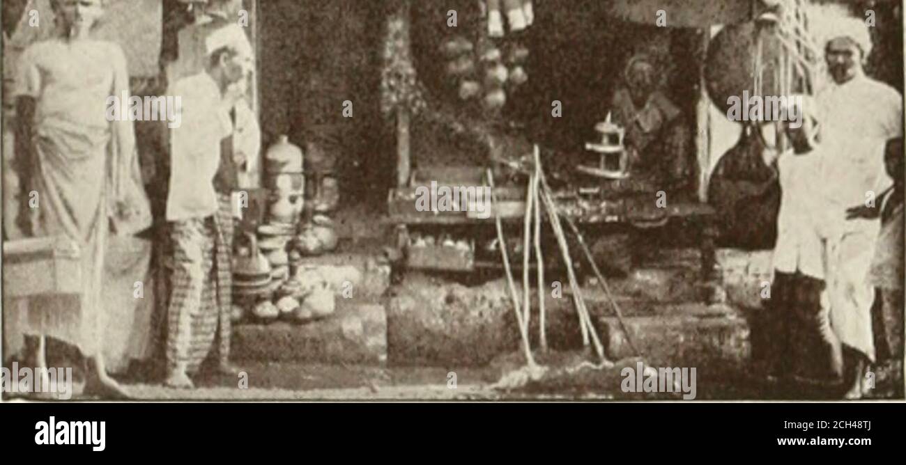 . The book of Ceylon; being a guide to its railway system and an ...