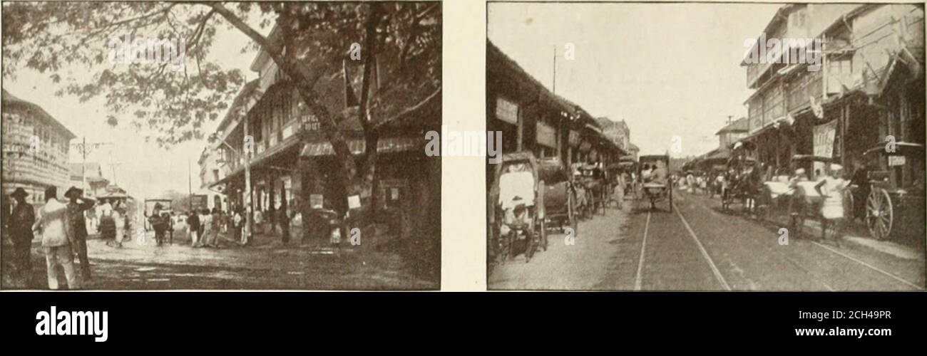 . The book of Ceylon; being a guide to its railway system and an ...