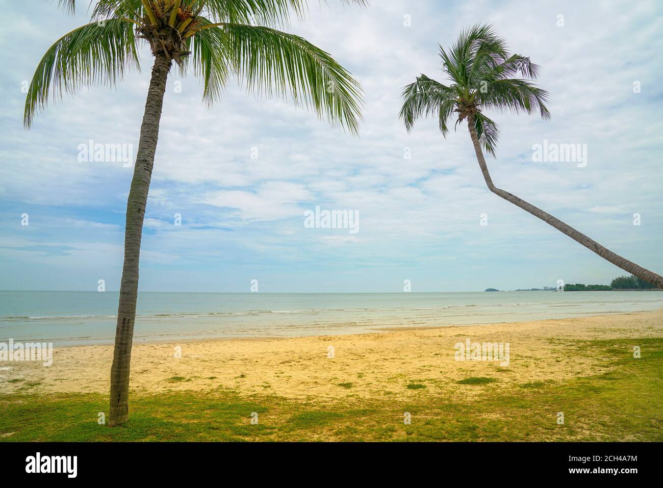 Quiet sandy beach with palm trees hi-res stock photography and images ...
