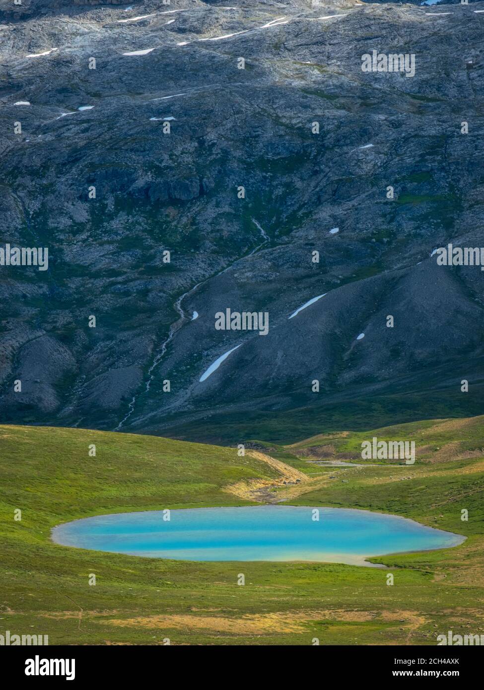 Igloo forest hi-res stock photography and images - Alamy