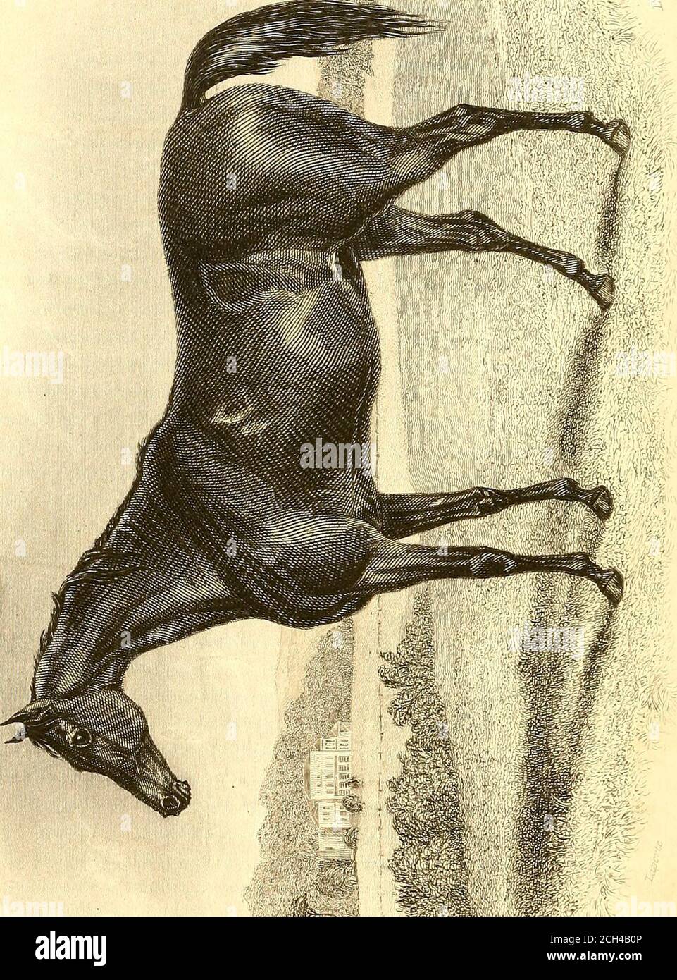 Wiseton hall hi-res stock photography and images - Alamy