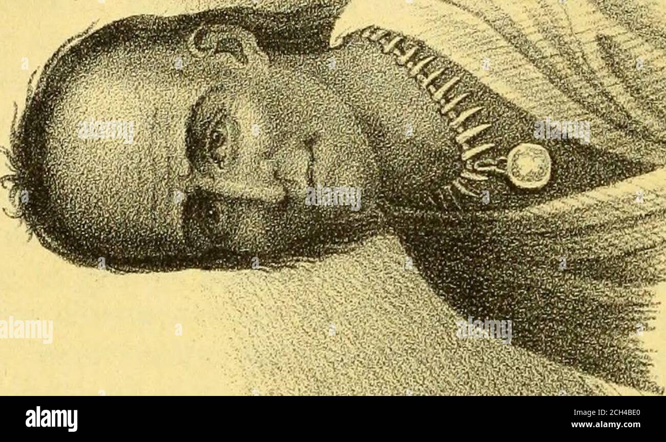 . History of Fort Wayne, from the earliest known accounts of this point ...