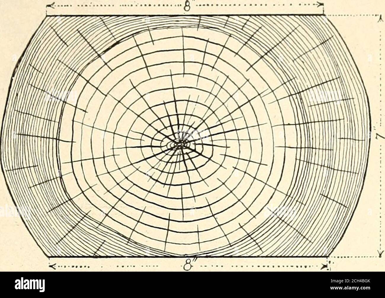 Rectangular crosssection hi-res stock photography and images - Alamy