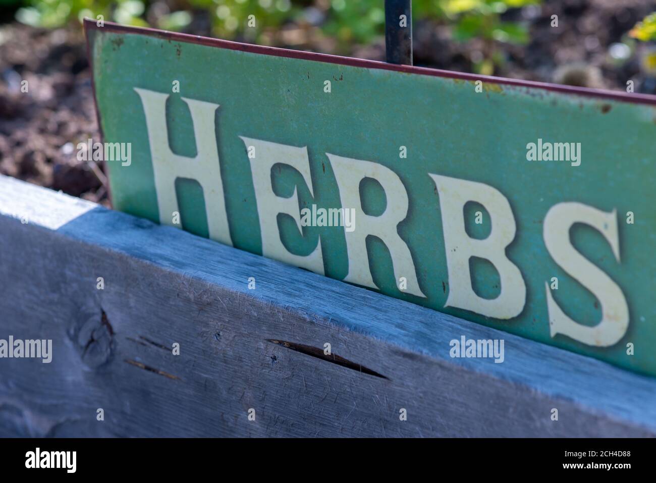 Chalkboard Vintage Herb Signs