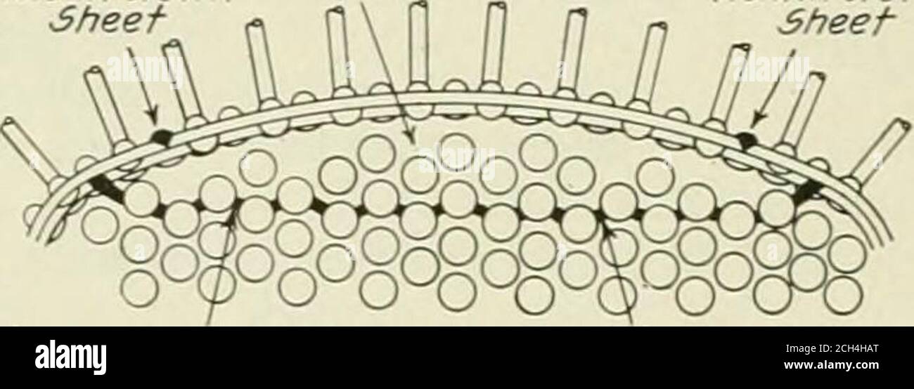 . Railway mechanical engineer . Weld in CrownSheet Flue Sheet Patch ...
