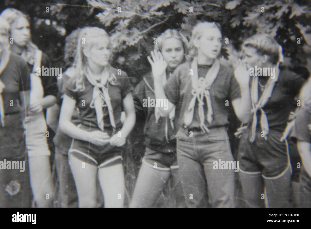 Fine 70s vintage black and white photography of girl scouts camping at ...