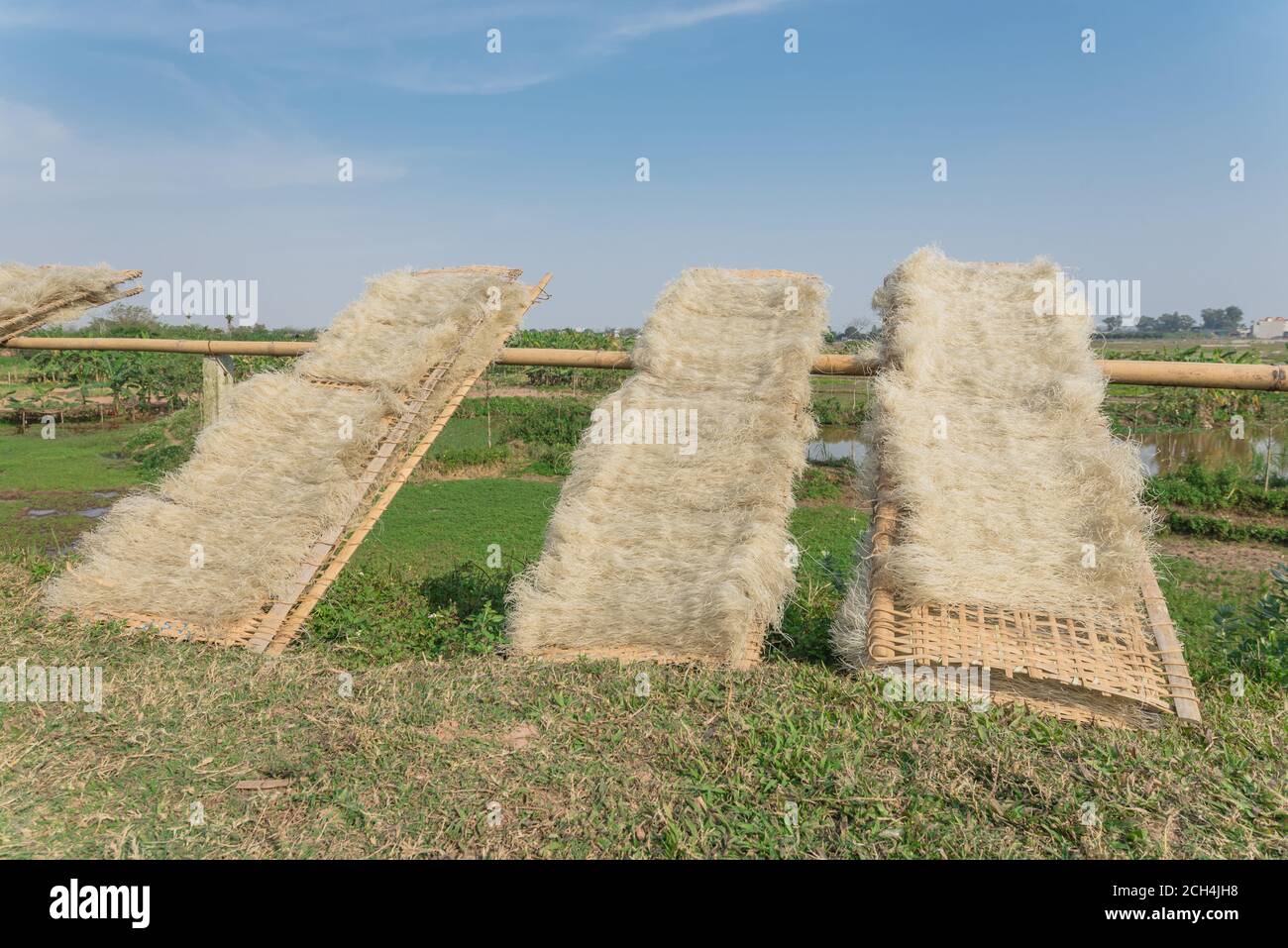 Drying Out Rice High Resolution Stock Photography and Images - Alamy