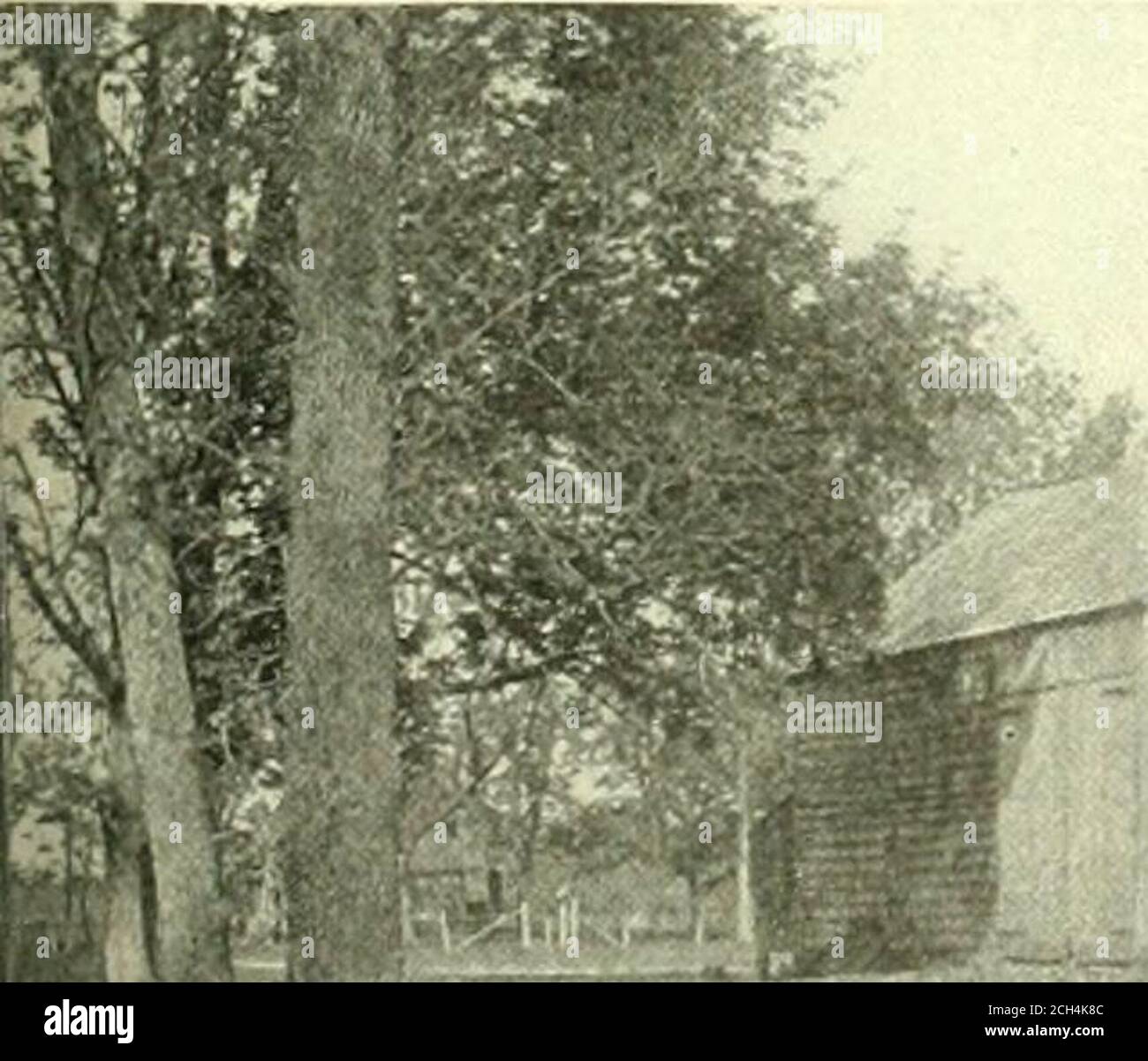 . The Suburbanite; a monthly magazine for those who are and those who ...