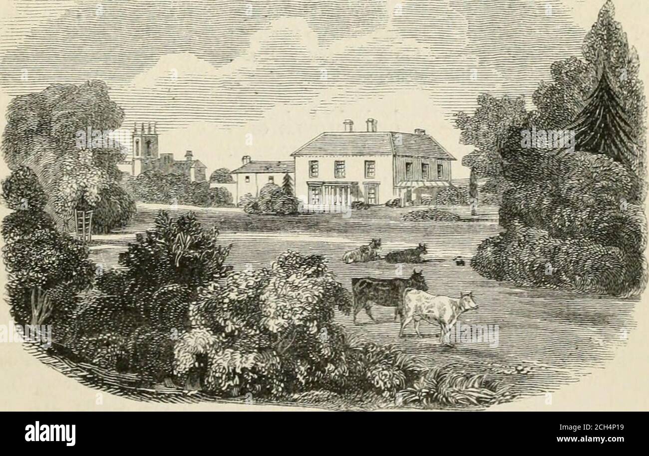 Codrington family hi-res stock photography and images - Alamy