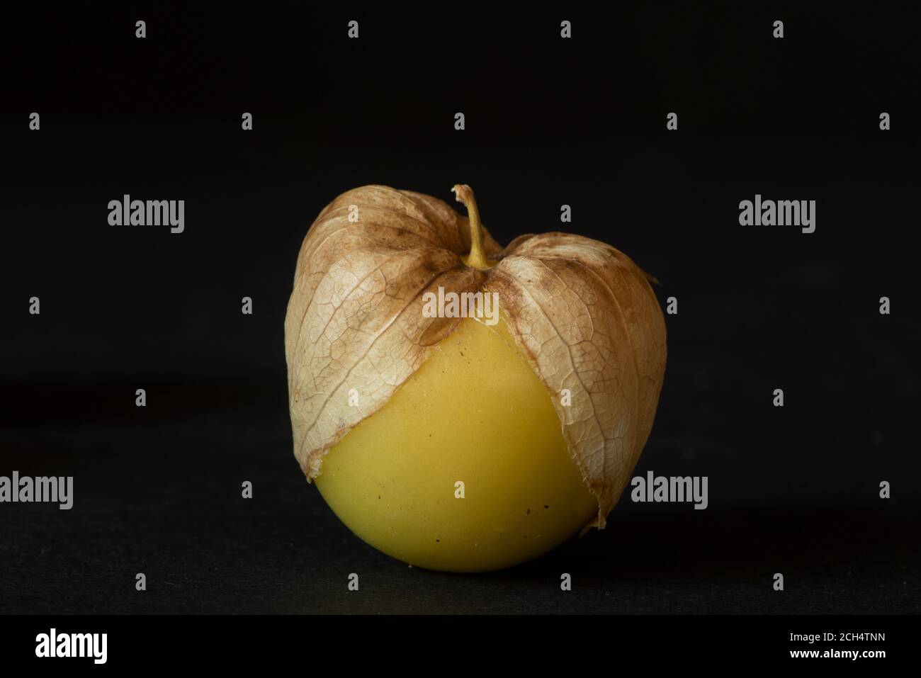 Unwashed yellow tomatillo on black background, viewed from dinner angle ...