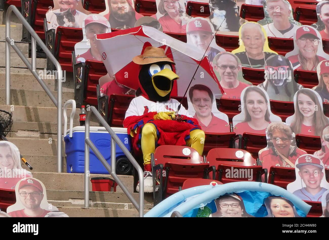 Fredbird hi-res stock photography and images - Alamy