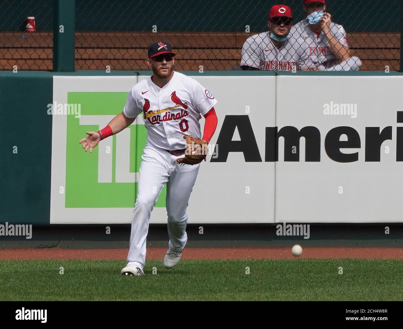 St. Louis, United States. 13th Sep, 2020. St. Louis Cardinals left ...