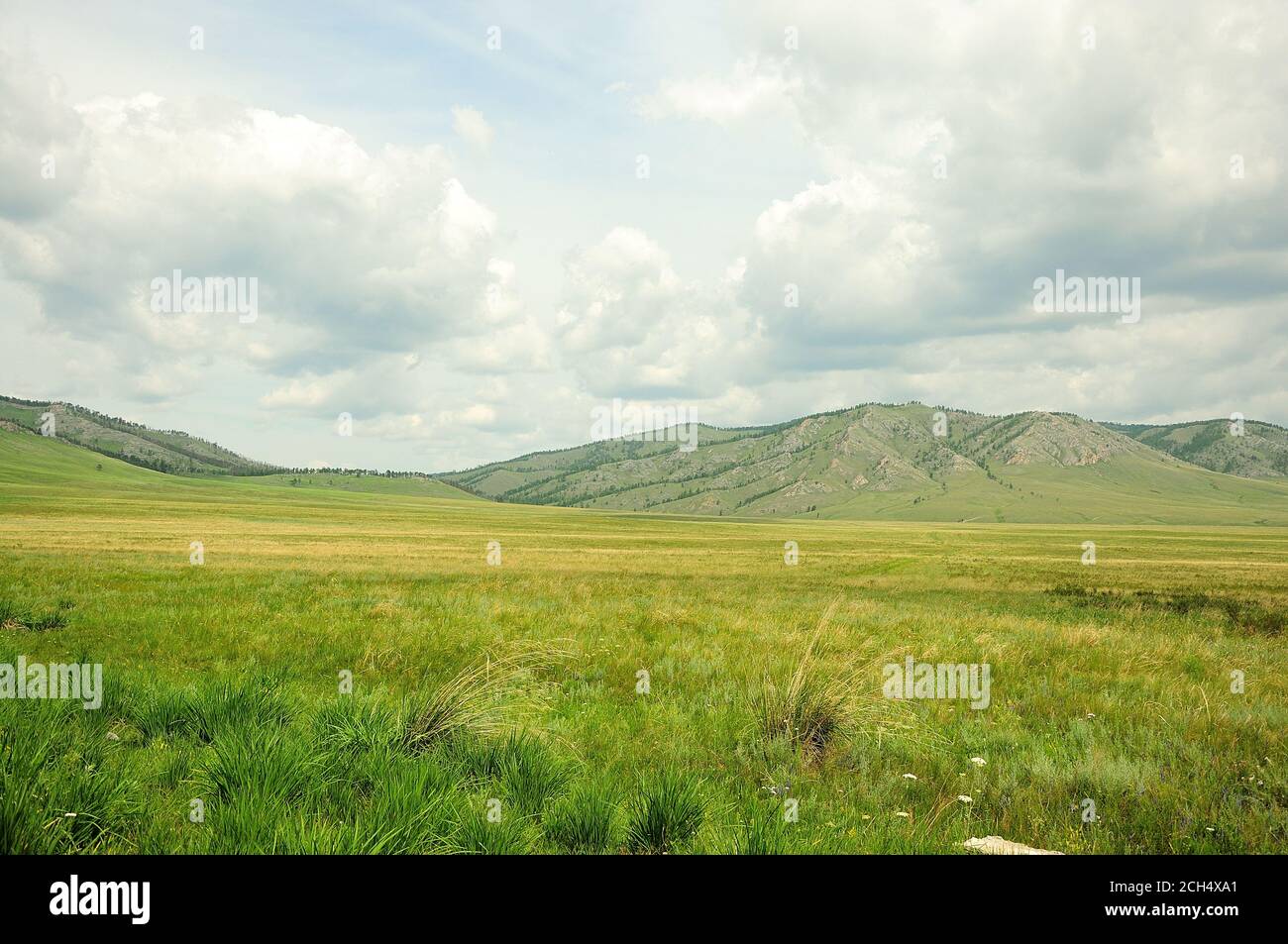High hills overgrown with grass in the endless steppe under the summer cloudy sky. Khakassia ...