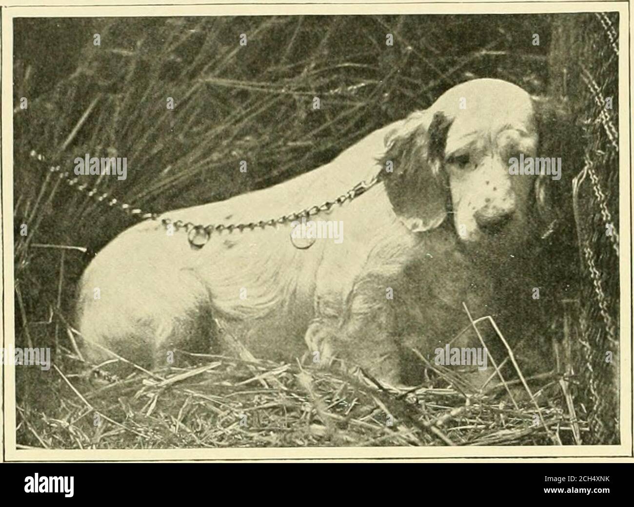 John o gaunt hi-res stock photography and images - Alamy