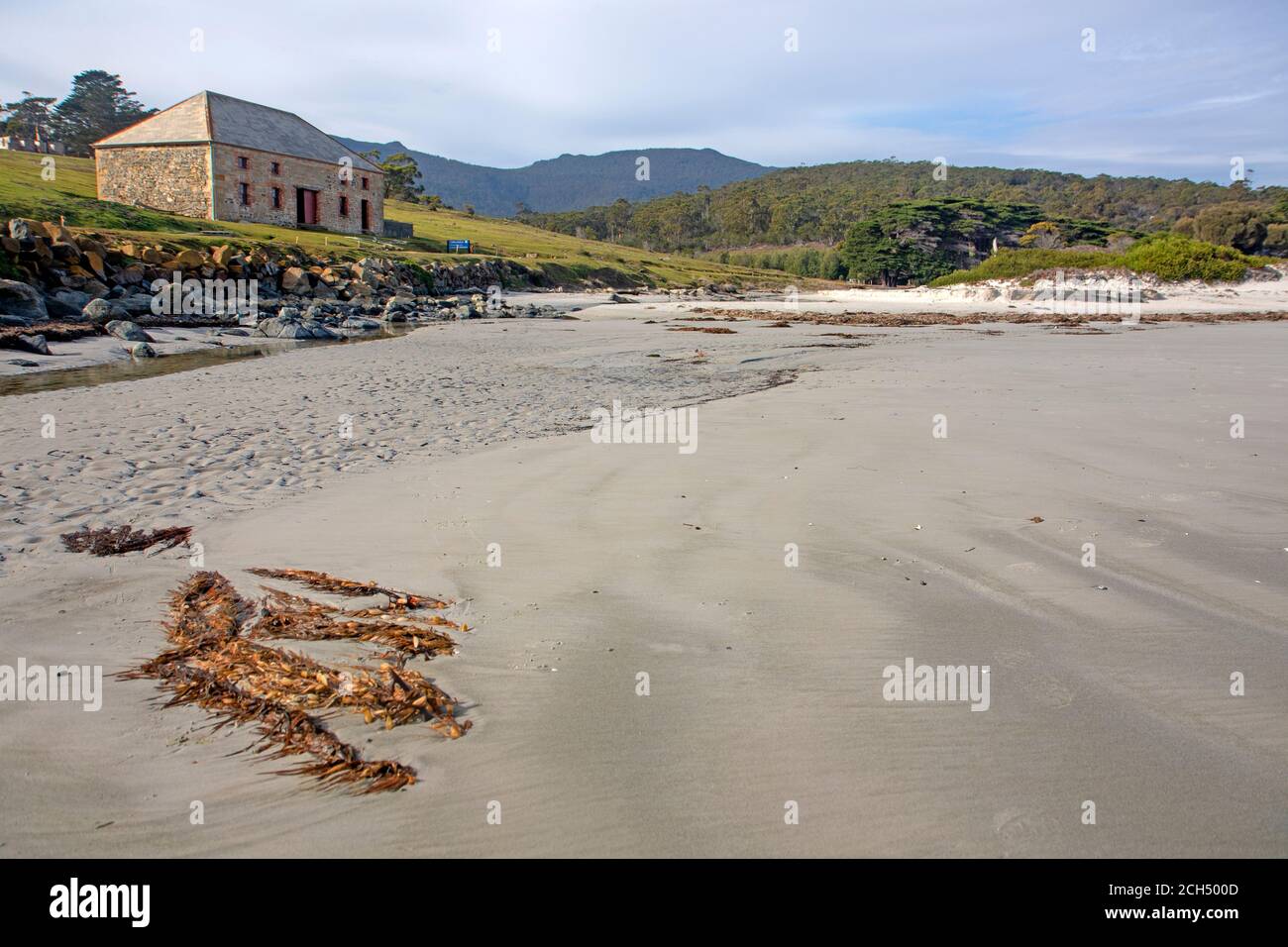 Darlington beach and the Commissariat Store on Maria Island Stock Photo ...