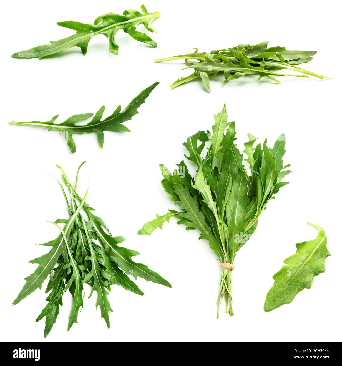 Fresh arugula on white background Stock Photo - Alamy