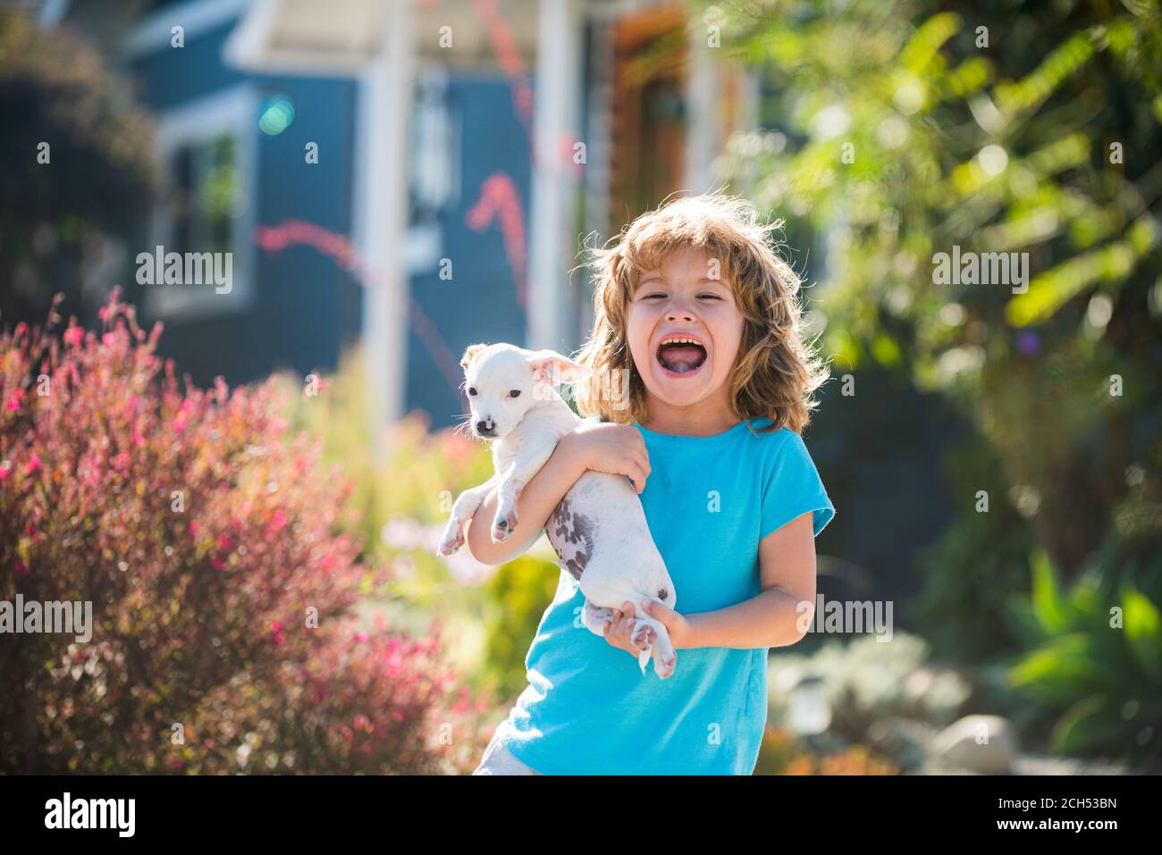 Happy child embraces pet dog. Embrace tenderness puppies. Hug friends ...