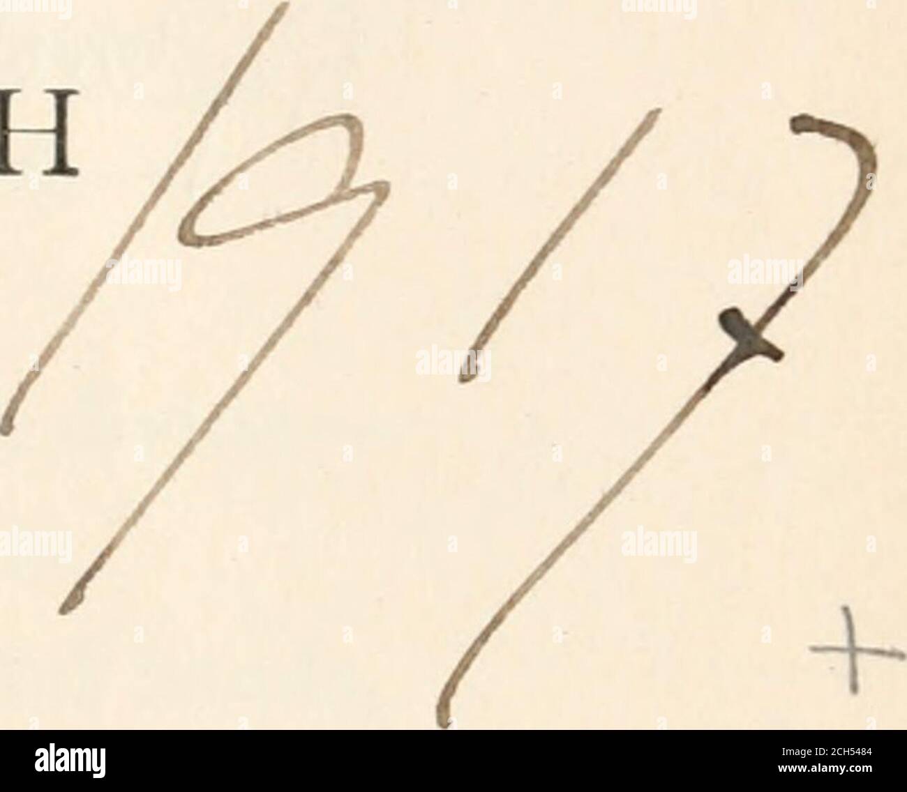 Sarah balliet hi-res stock photography and images - Alamy