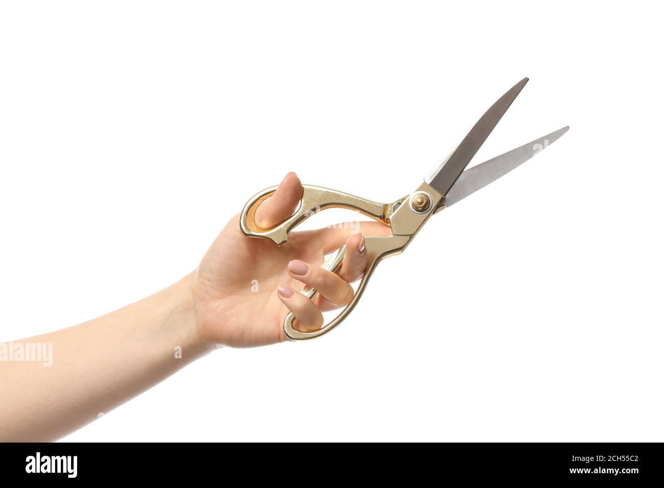 Female hand with tailor's scissors on white background Stock Photo - Alamy