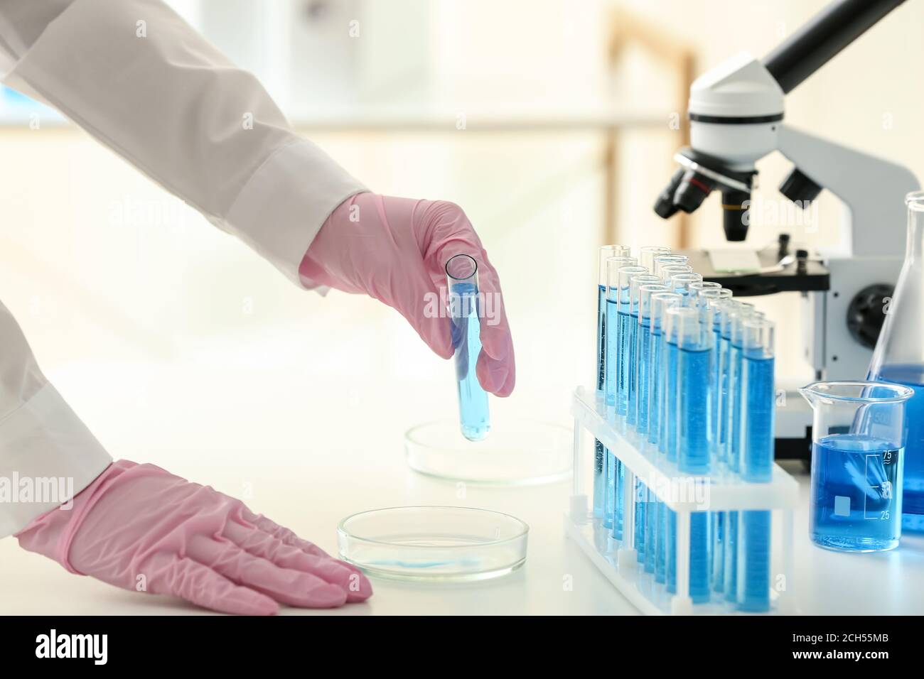 Scientist working with sample in laboratory Stock Photo - Alamy