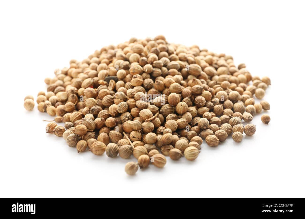 Aromatic coriander on white background Stock Photo - Alamy