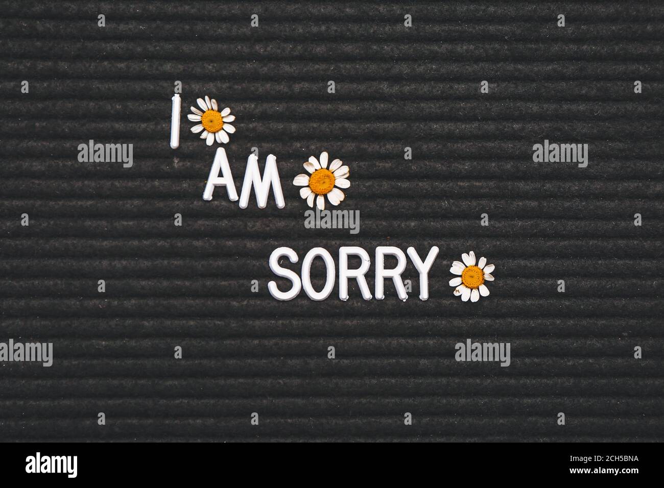 I am sorry word hi-res stock photography and images - Alamy
