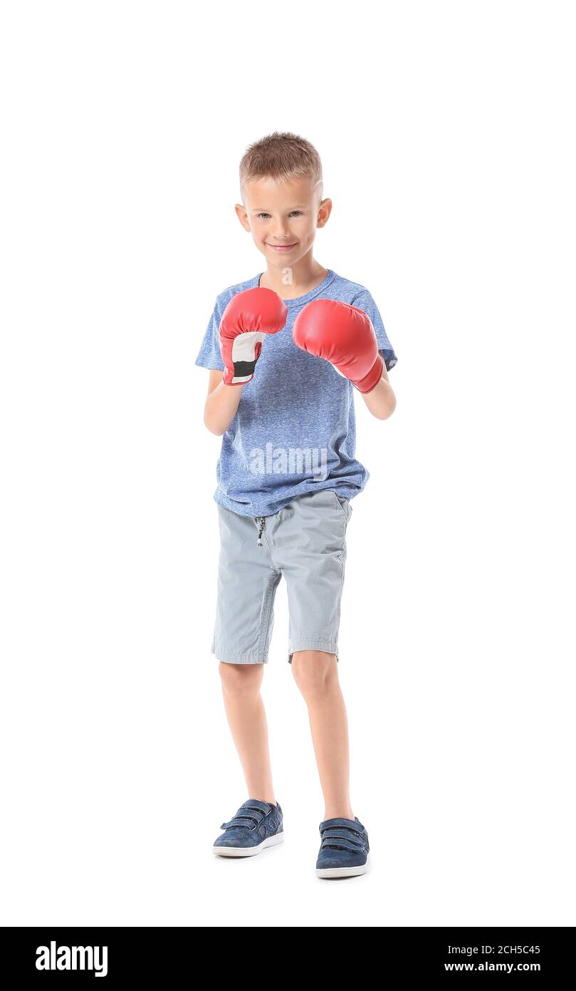 Cute little boxer on white background Stock Photo - Alamy