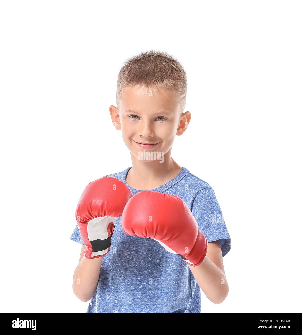 Cute little boxer on white background Stock Photo - Alamy