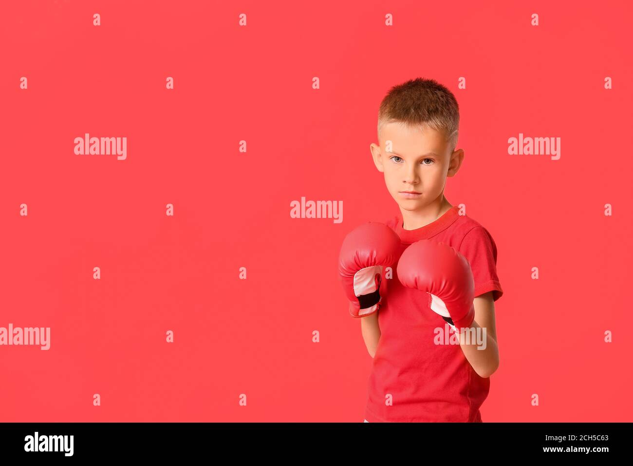 Cute little boxer on color background Stock Photo - Alamy