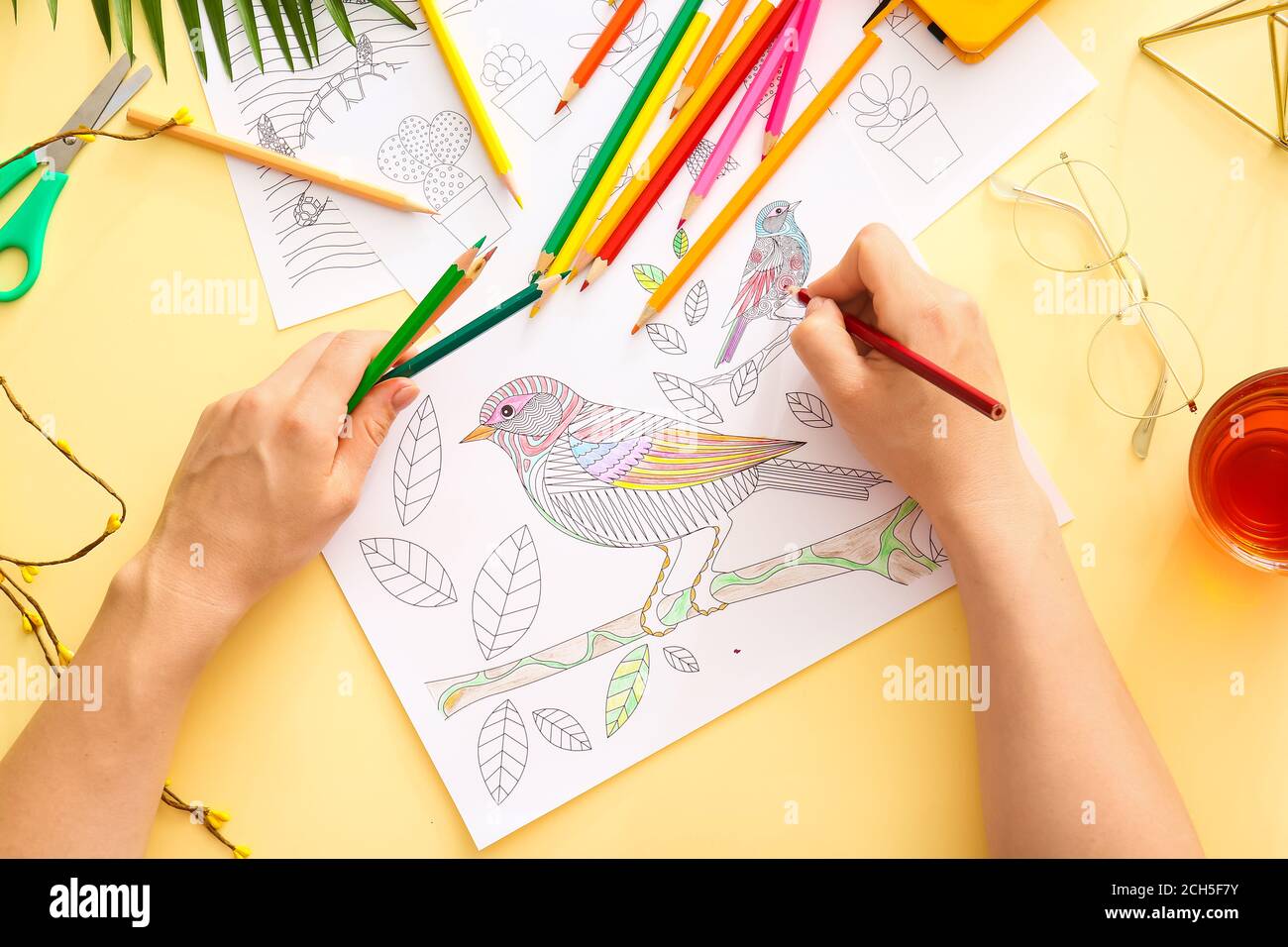 Woman coloring picture at table Stock Photo - Alamy