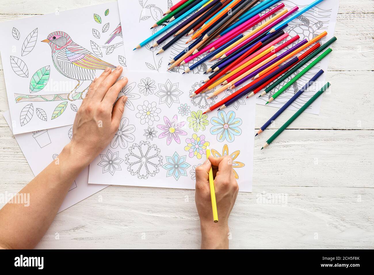 Woman coloring picture at table Stock Photo - Alamy