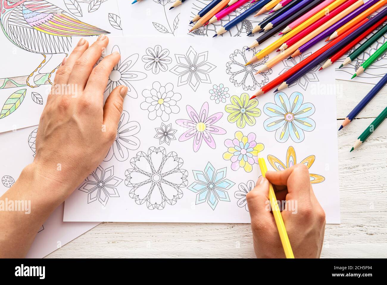 Woman coloring picture at table Stock Photo - Alamy