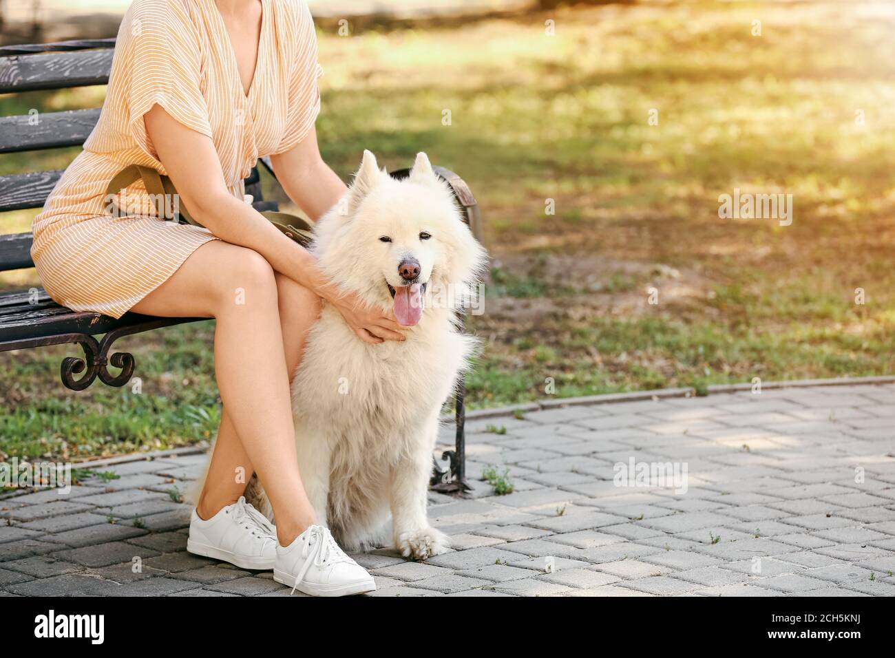 Young woman samoyed dog hi-res stock photography and images - Alamy