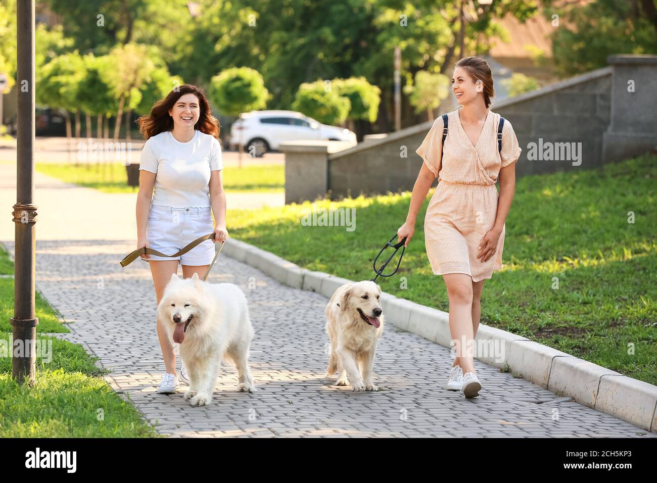 Young women with cute dogs walking in park Stock Photo - Alamy