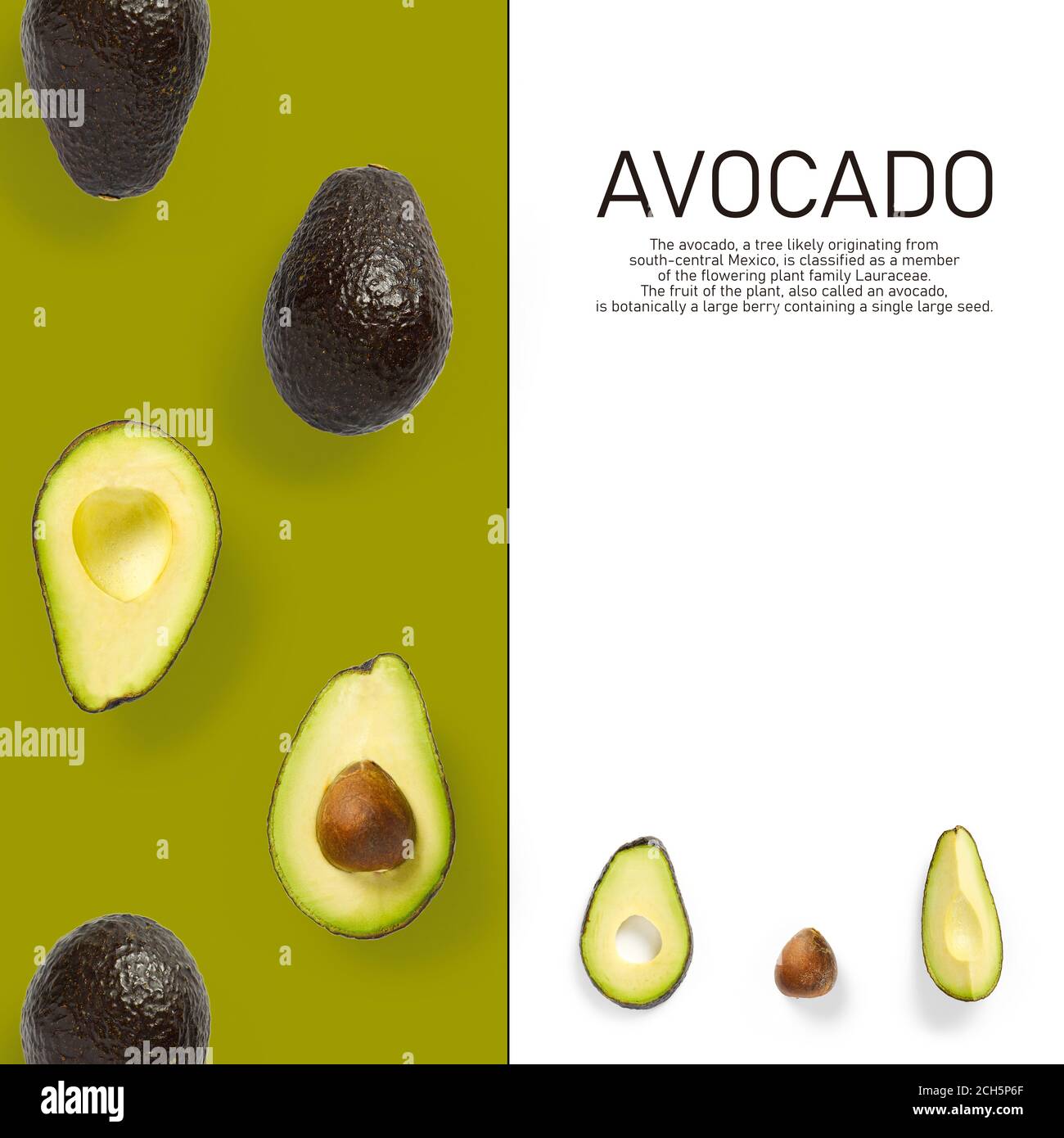 Modern creative avocado collage with simple text on solid color ...