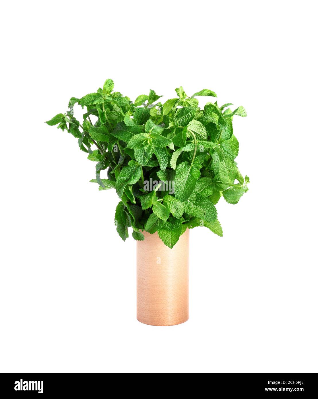 Fresh green mint on white background Stock Photo - Alamy