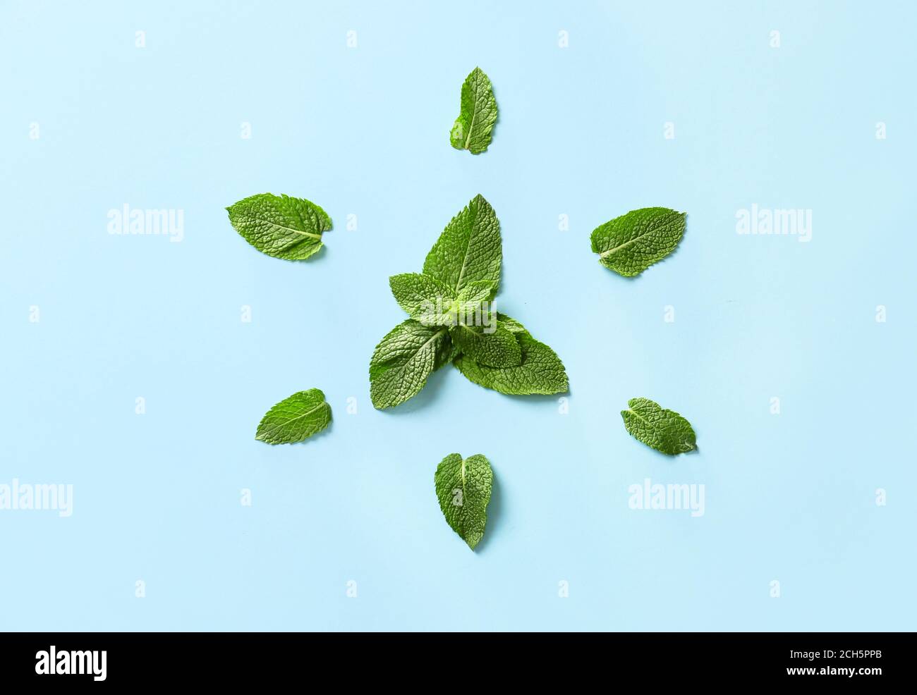 Fresh green mint on color background Stock Photo - Alamy