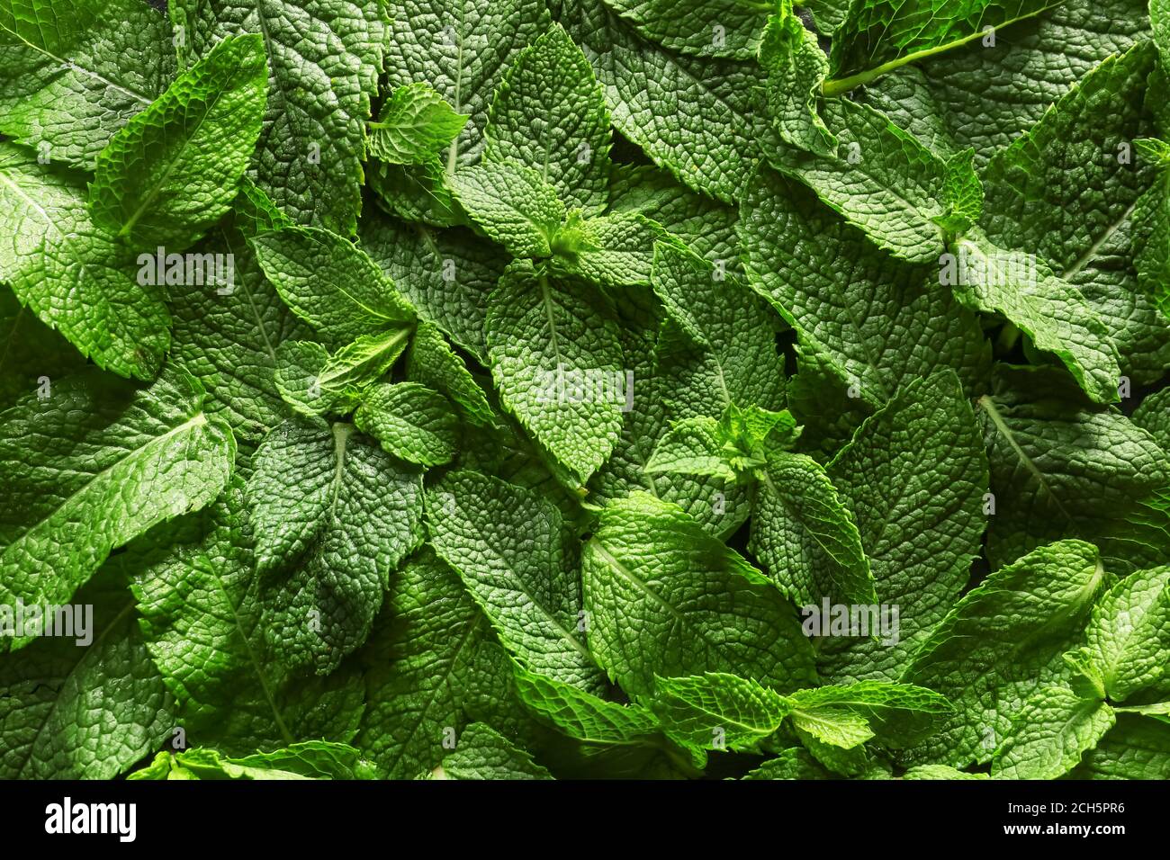 Fresh green mint as background Stock Photo - Alamy
