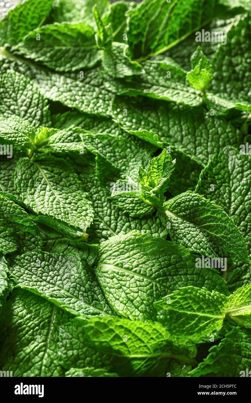 Fresh green mint as background Stock Photo - Alamy