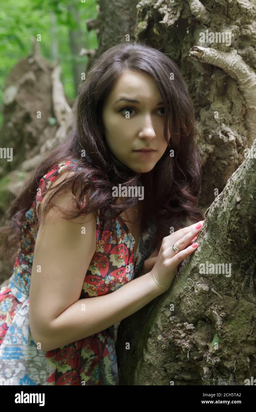 Spook forest hi-res stock photography and images - Alamy