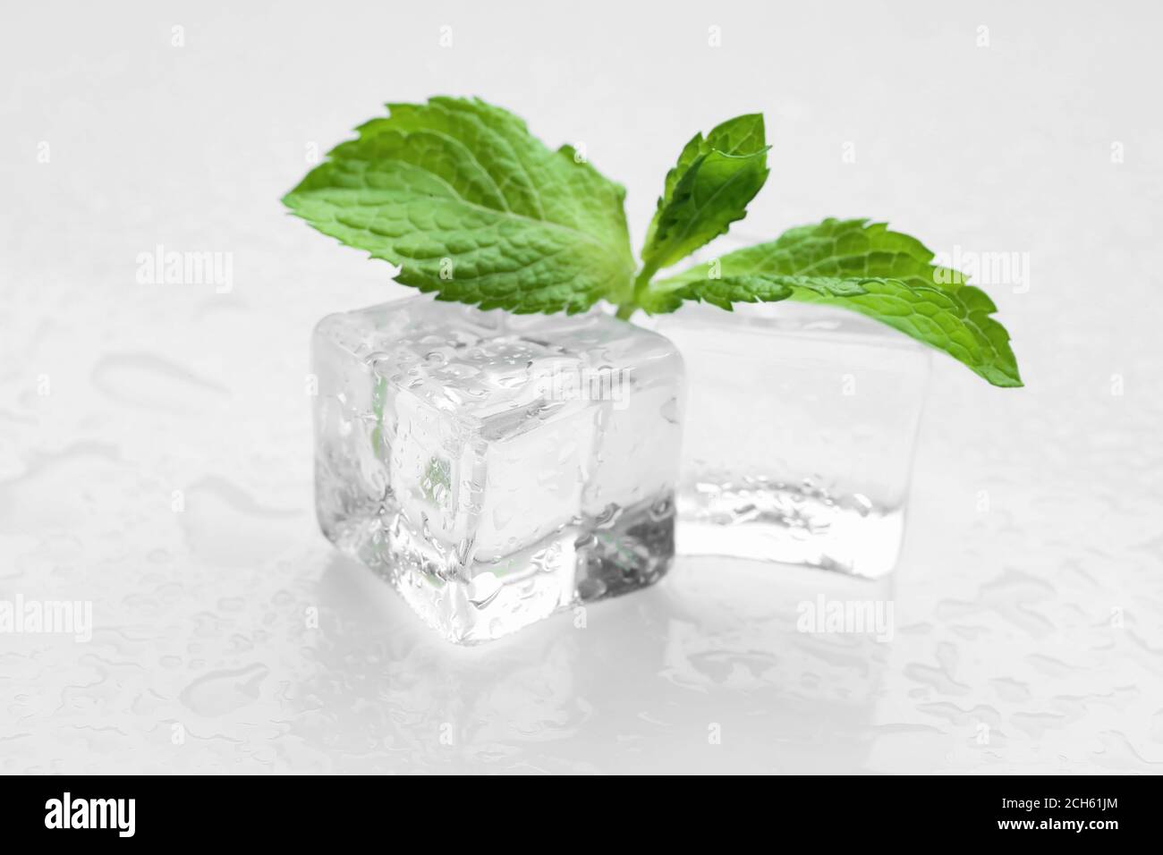 Ice cubes with mint on white background Stock Photo - Alamy