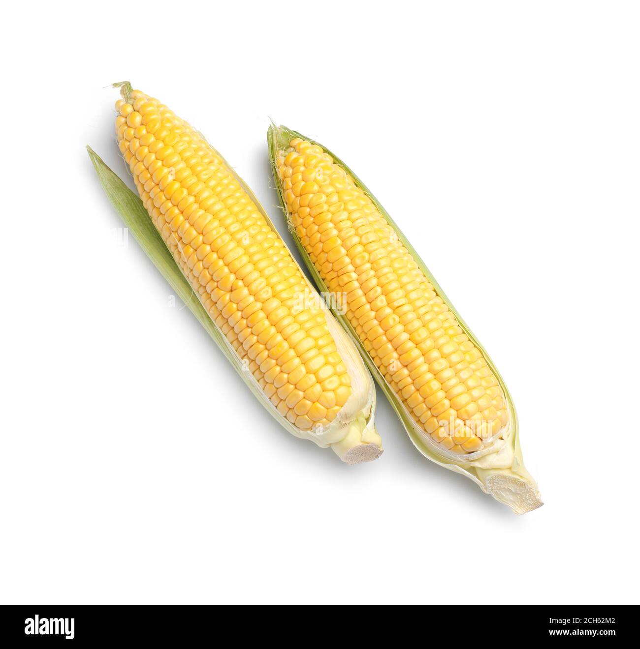 Fresh corn cobs on white background Stock Photo - Alamy