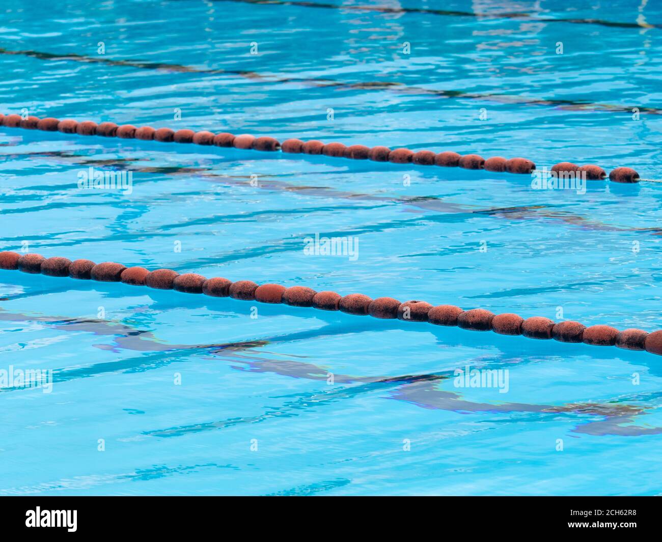 Detail of an Olympic swimming pool: vintage cork float used as Swimming ...