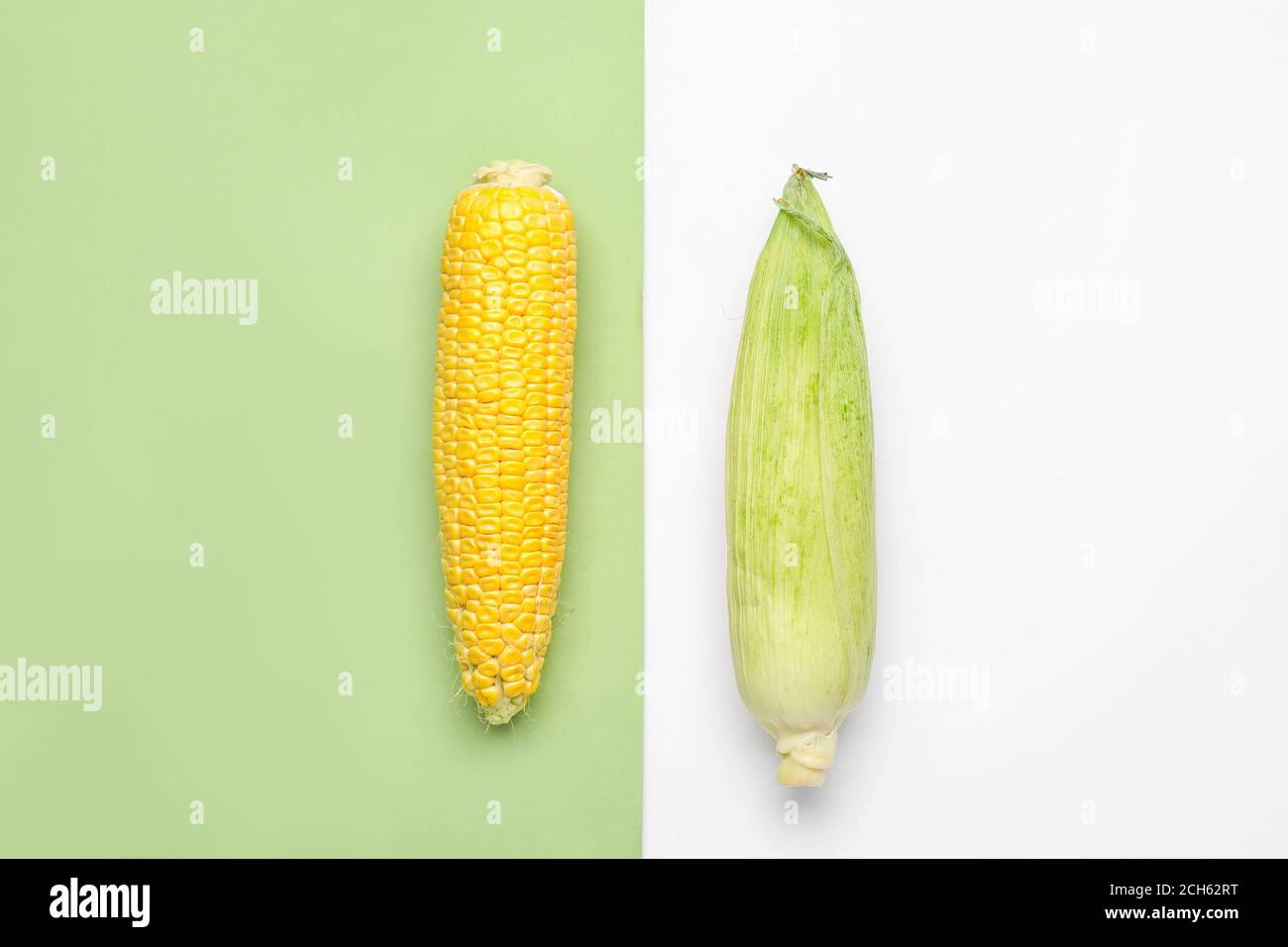 Fresh corn cobs on color background Stock Photo - Alamy