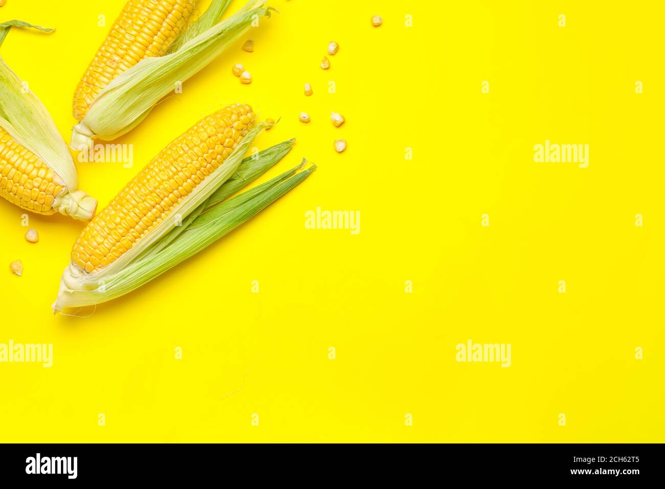 Fresh corn cobs on color background Stock Photo - Alamy
