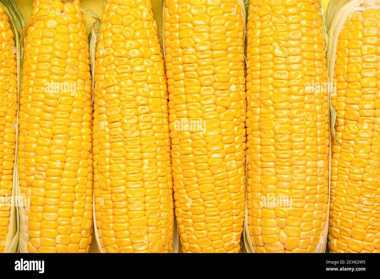 Fresh corn cobs as background Stock Photo - Alamy