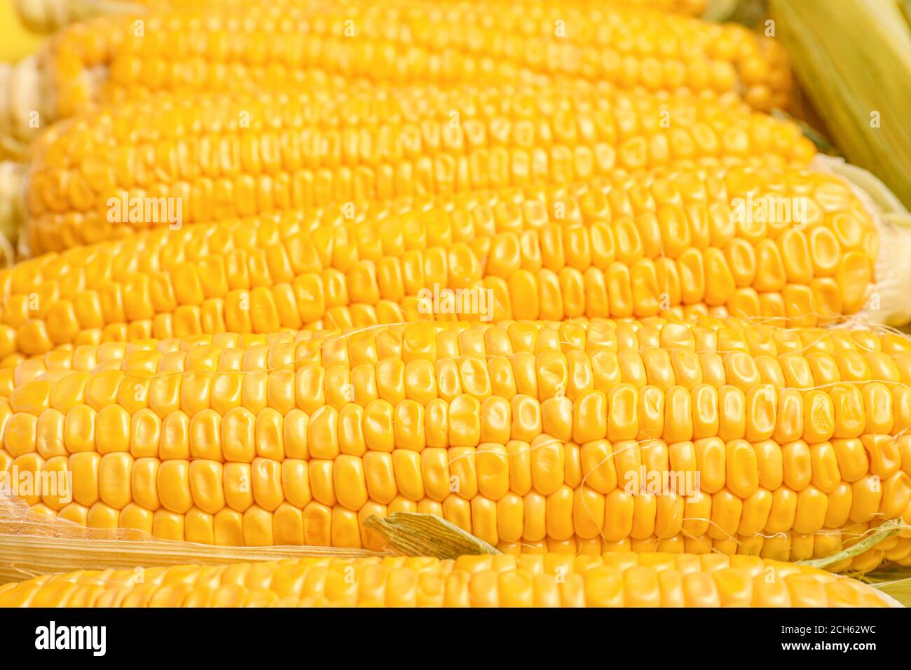 Fresh corn cobs as background Stock Photo - Alamy