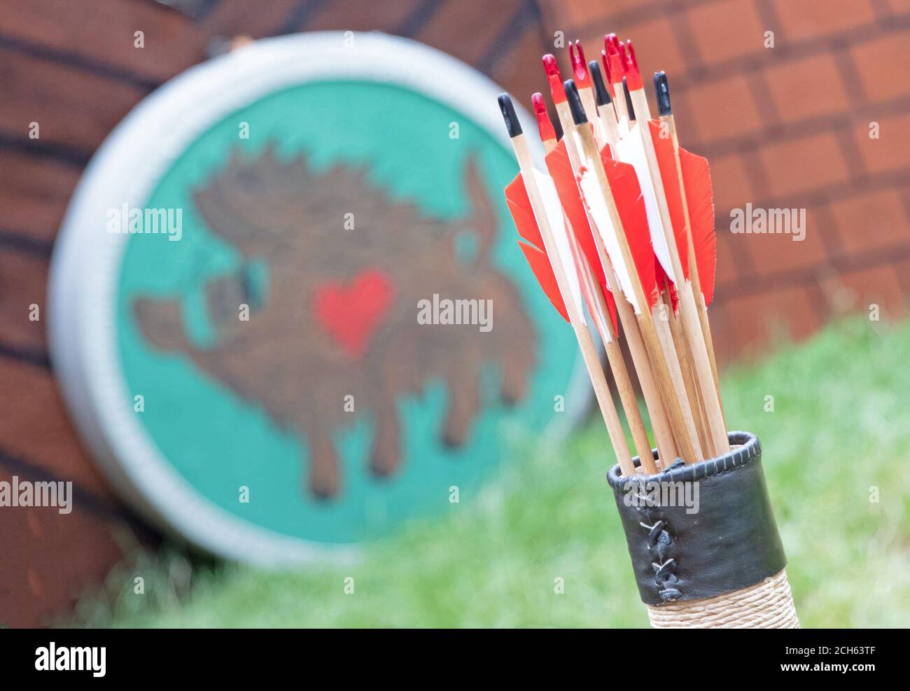 Target for dart, Crossbow and arrows, wild boar Stock Photo - Alamy