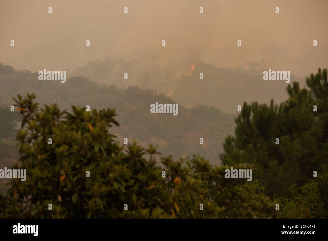 Monrovia, California, USA. 12th Sep, 2020. The Bobcat wildfire burns in ...